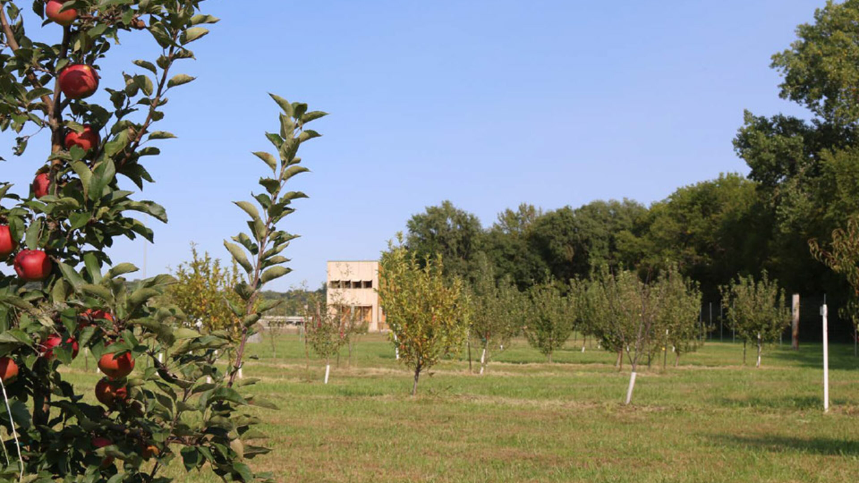 ASHED wins the National ACSA Design-Build award | College of Architecture | Nebraska