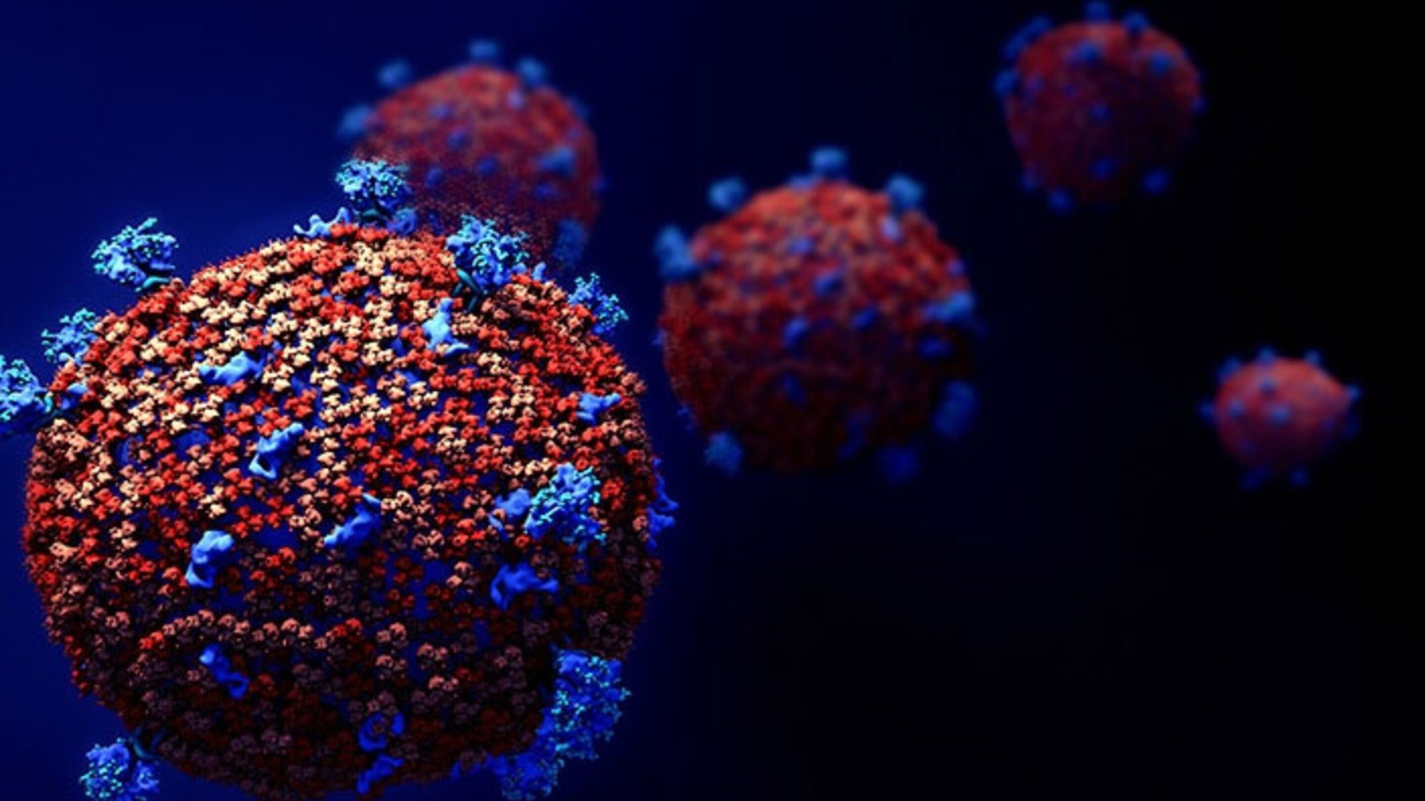 NU team among finalists for global Pandemic Response Challenge ...